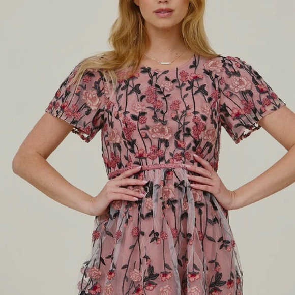 tea n rose | Dresses | Tea N Rose Ellie Blush Floral Embroidered Tulle ...